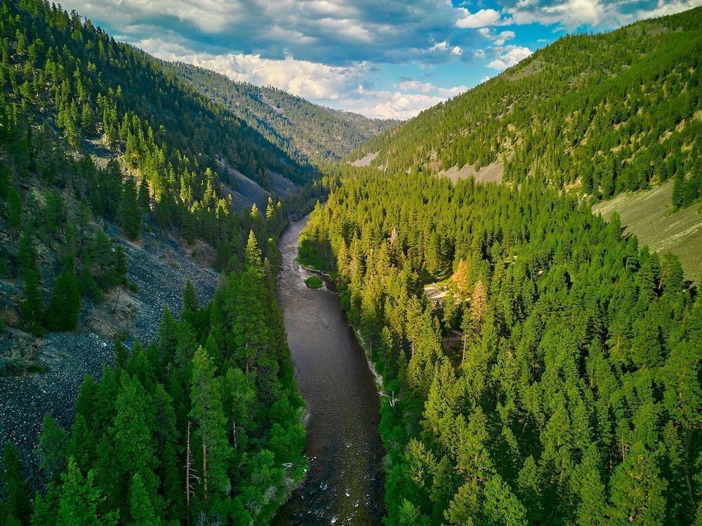 10 Best Lolo National Forest Hikes Near Missoula